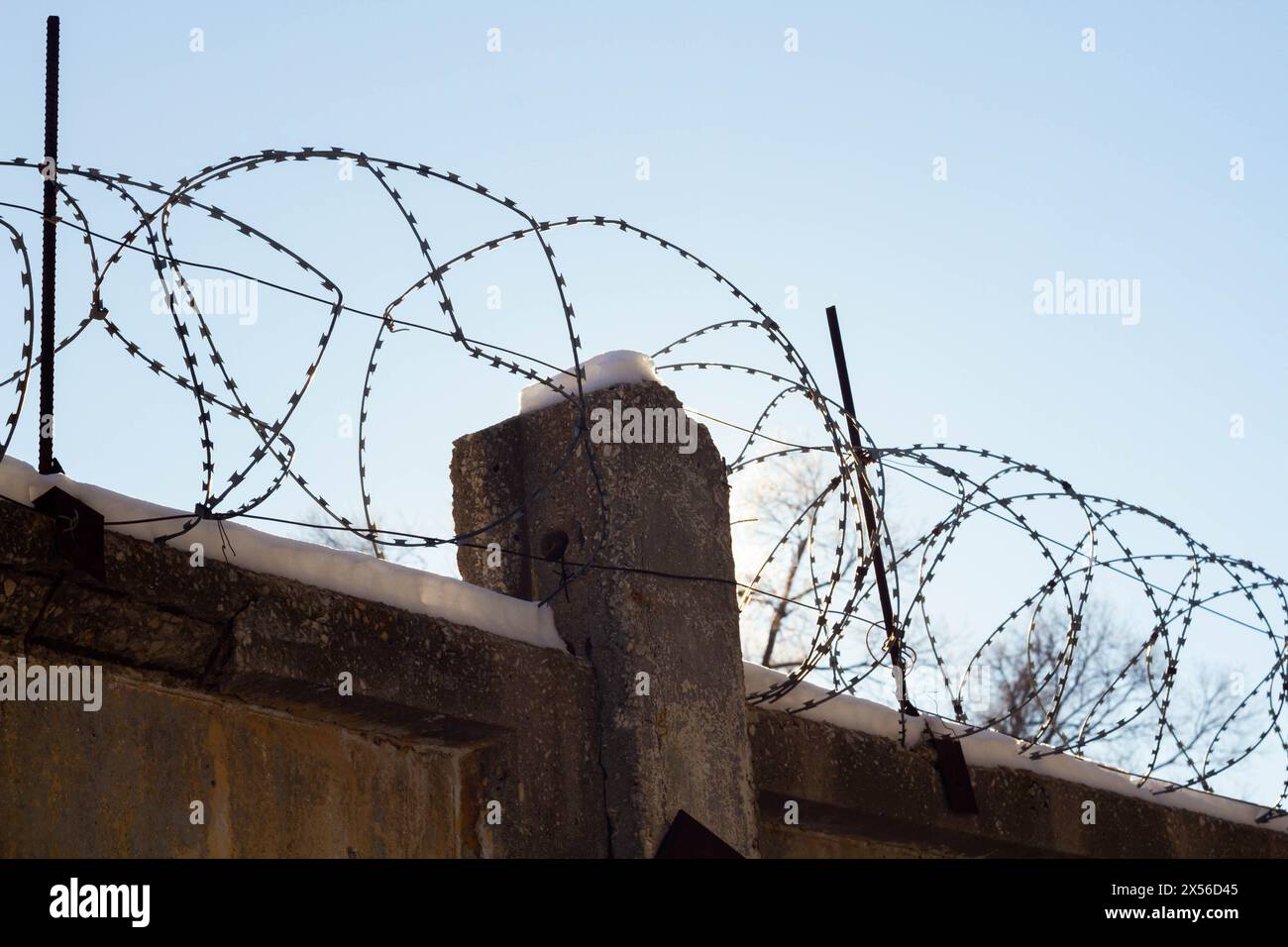 Barbed wire on the prison fence. A closed prison. Security concept ...