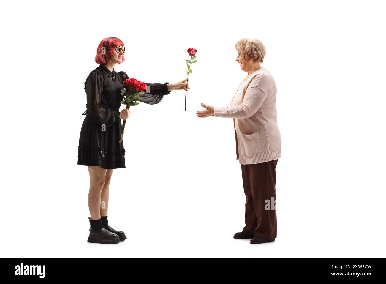 Woman in black dress giving a red rose to an elderly lady isolated on ...