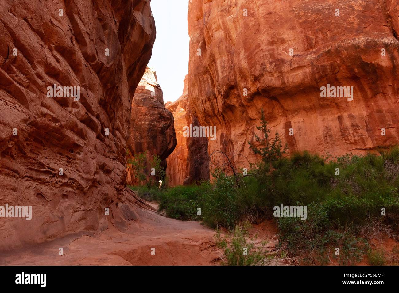 Two large rocks face each other to create a slot canyon inside the ...
