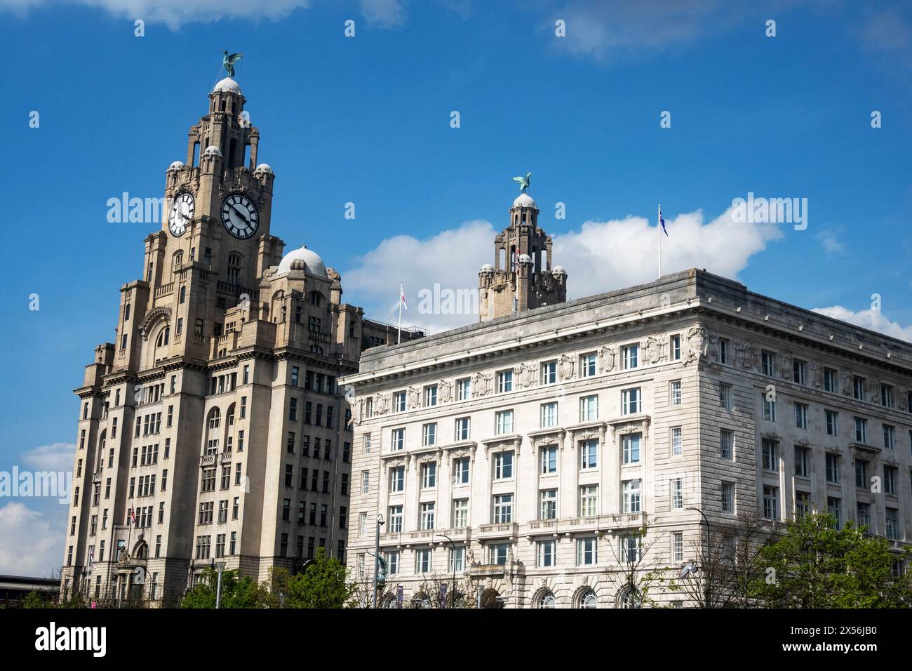 The Royal Liver Building at Pier Head in Liverpool with Bella and ...
