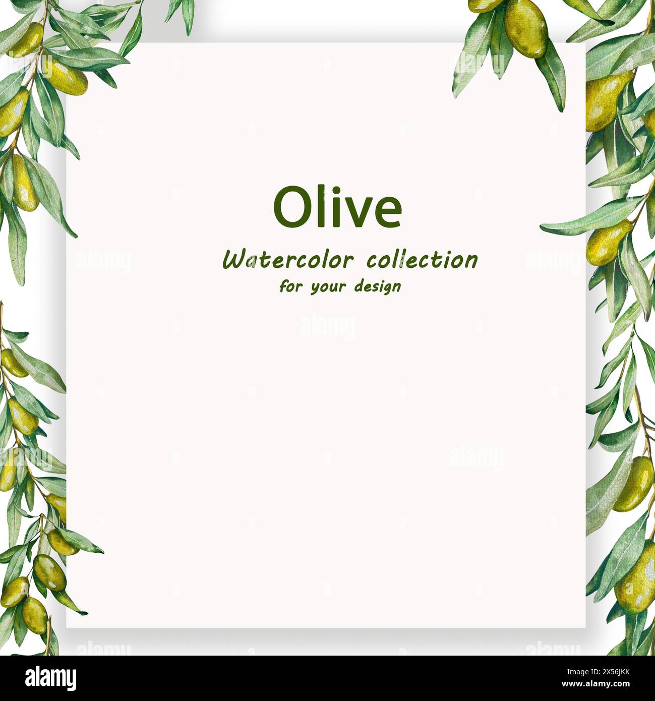 Olive tree frame in watercolor hi-res stock photography and images - Alamy