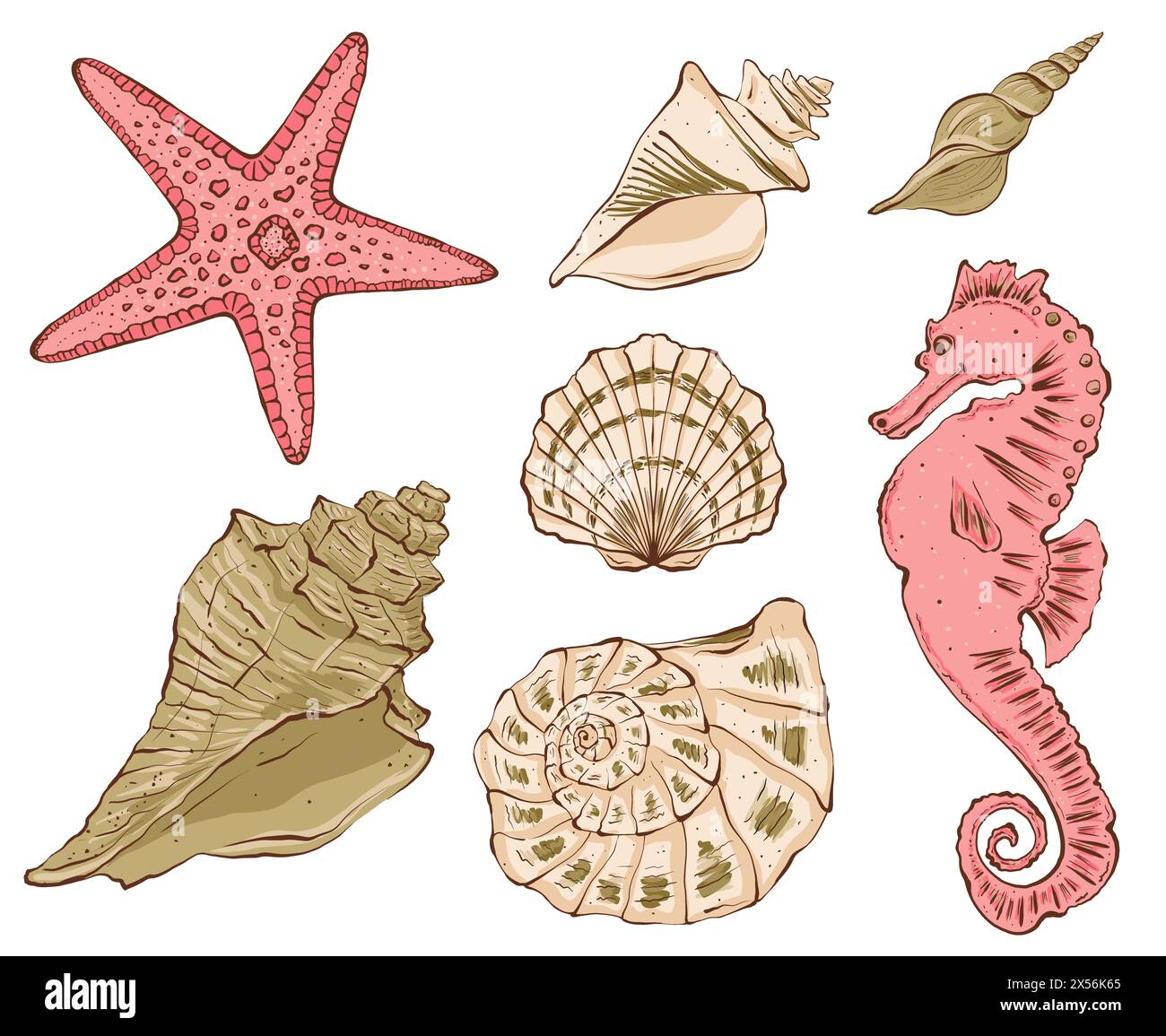 Shells and sea animals. Set of underwater world elements. Hand drawn ...