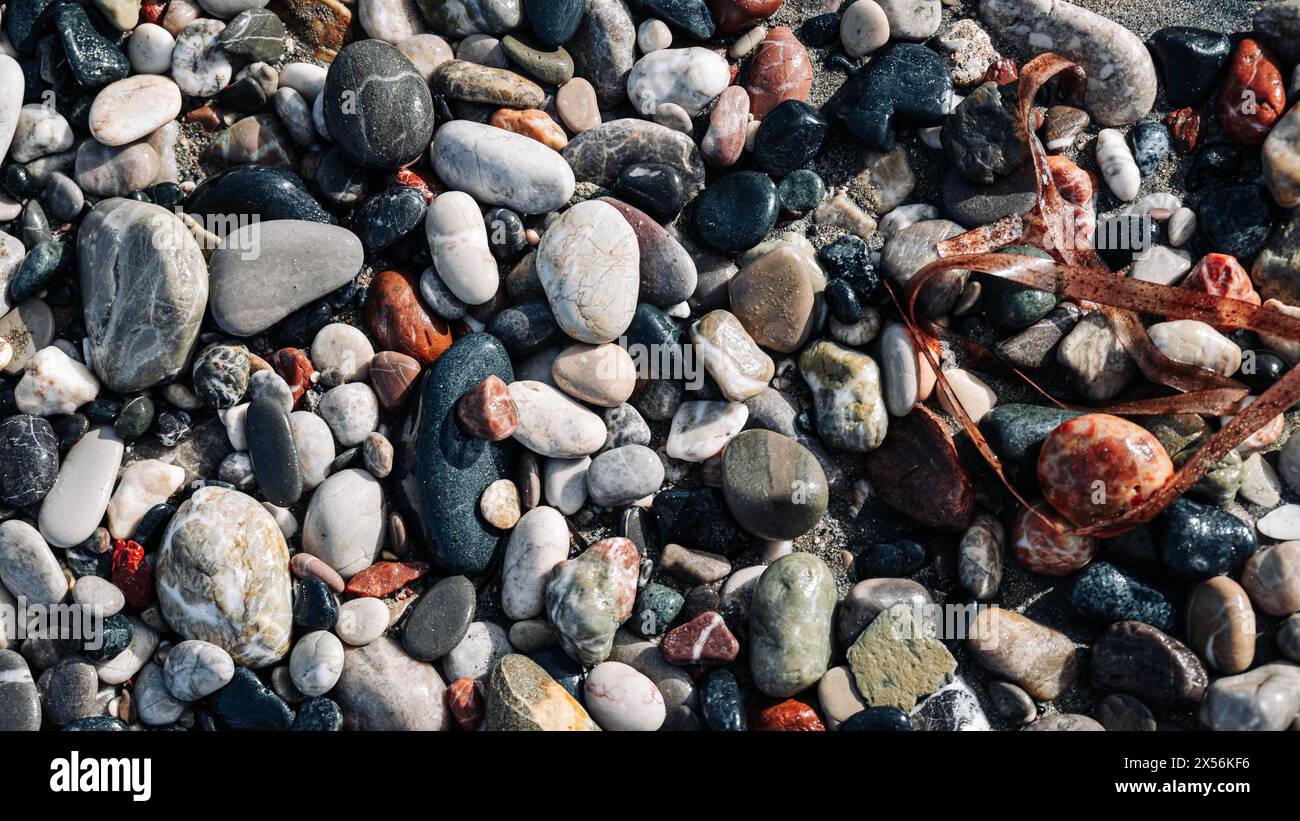A mound of rocks, each boasting a unique blend of colors and sizes ...