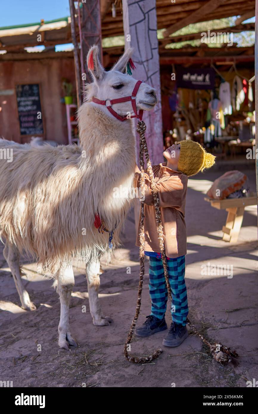 7 8 yers hi-res stock photography and images - Alamy