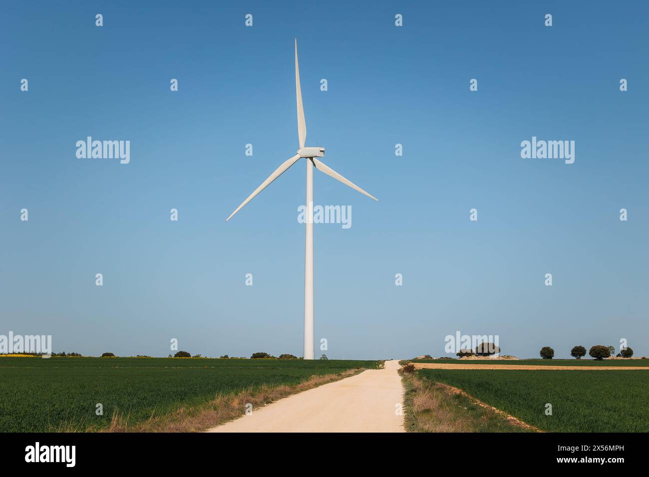 sand road next to a windmill of wind energy in the middle of the ...