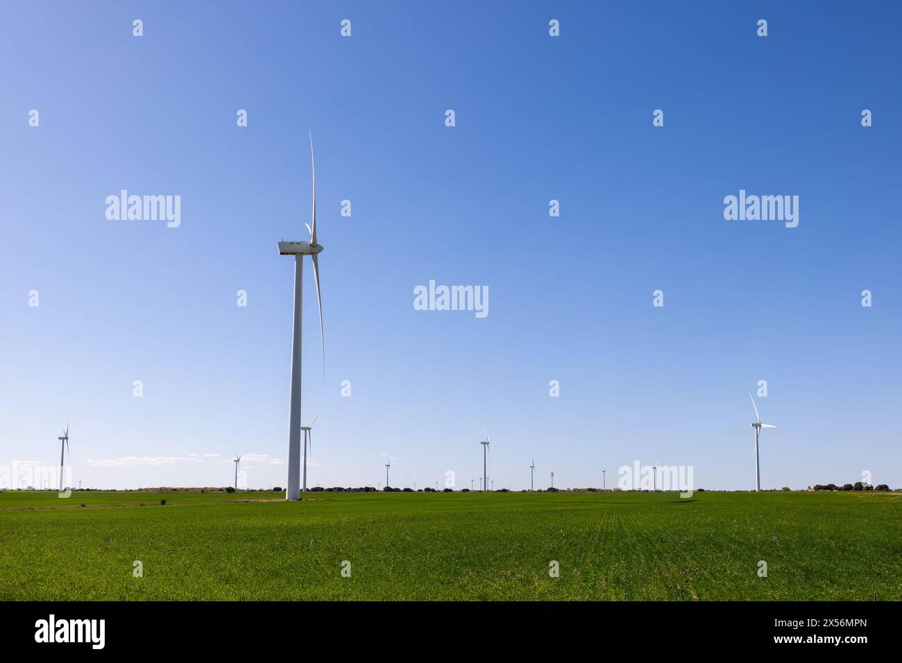 windmills of wind energy in the middle of the countryside with ...