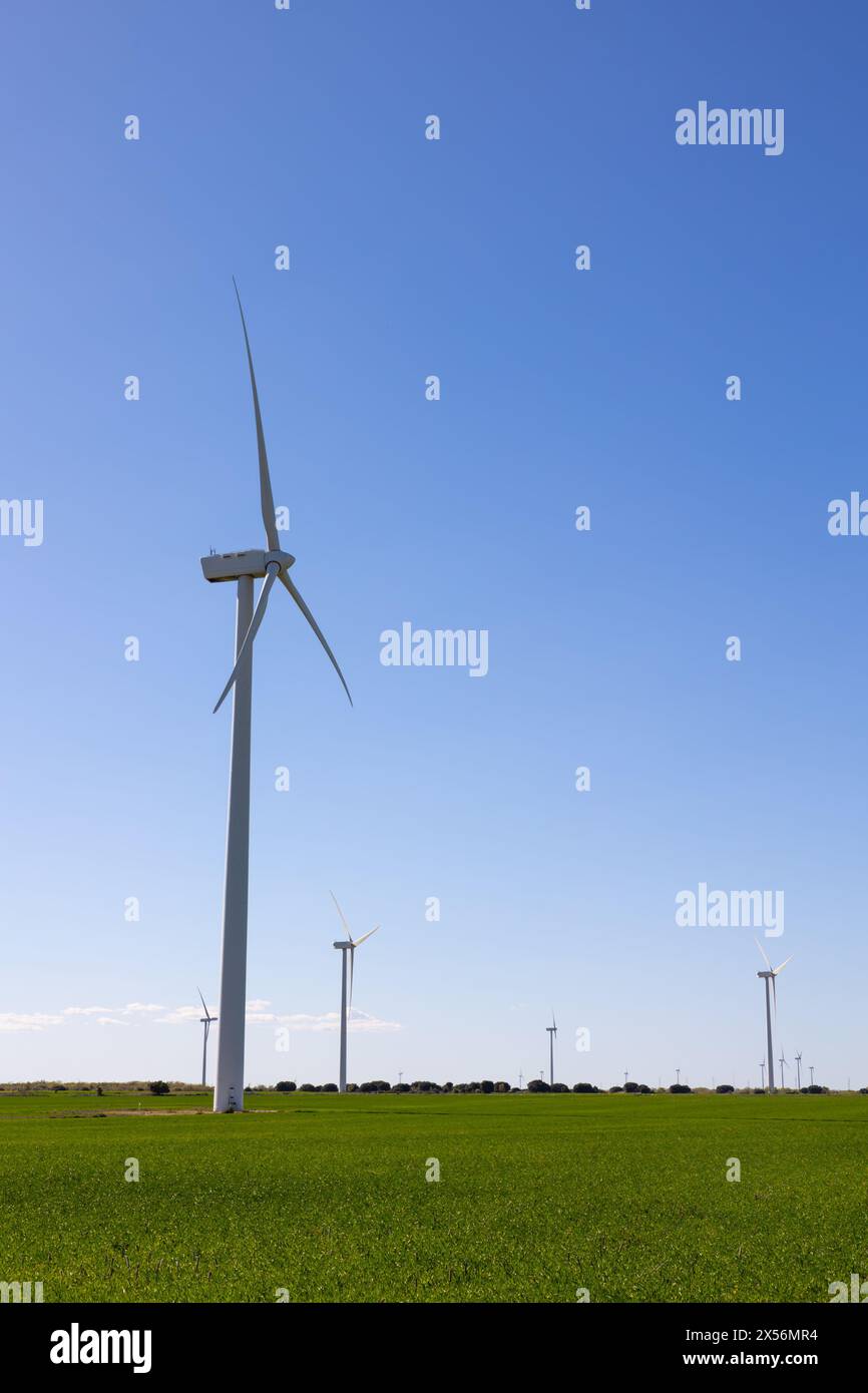 windmills of wind energy in the middle of the countryside with ...