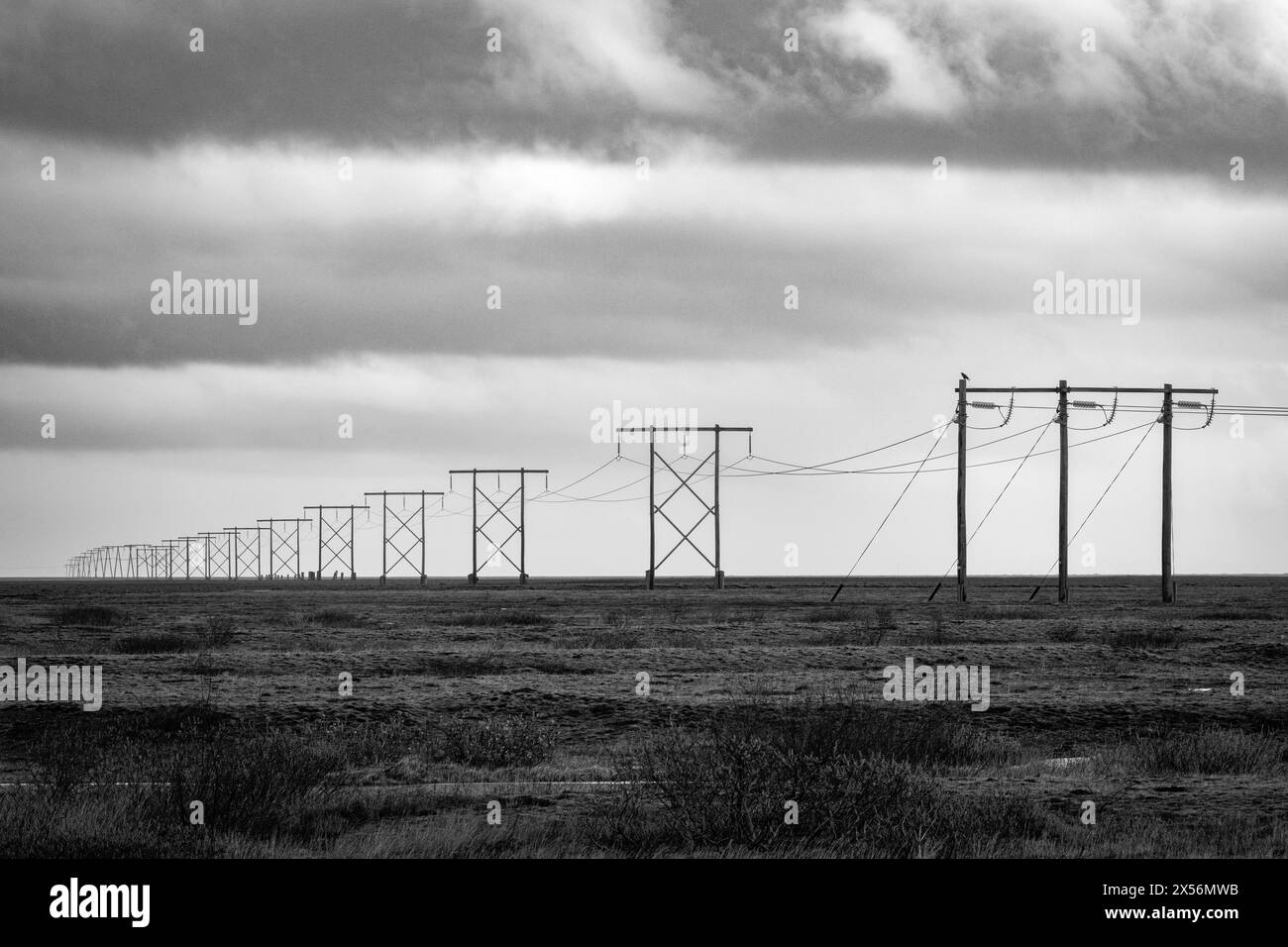 Icelandic power lines extend across a monochrome landscape towards the ...