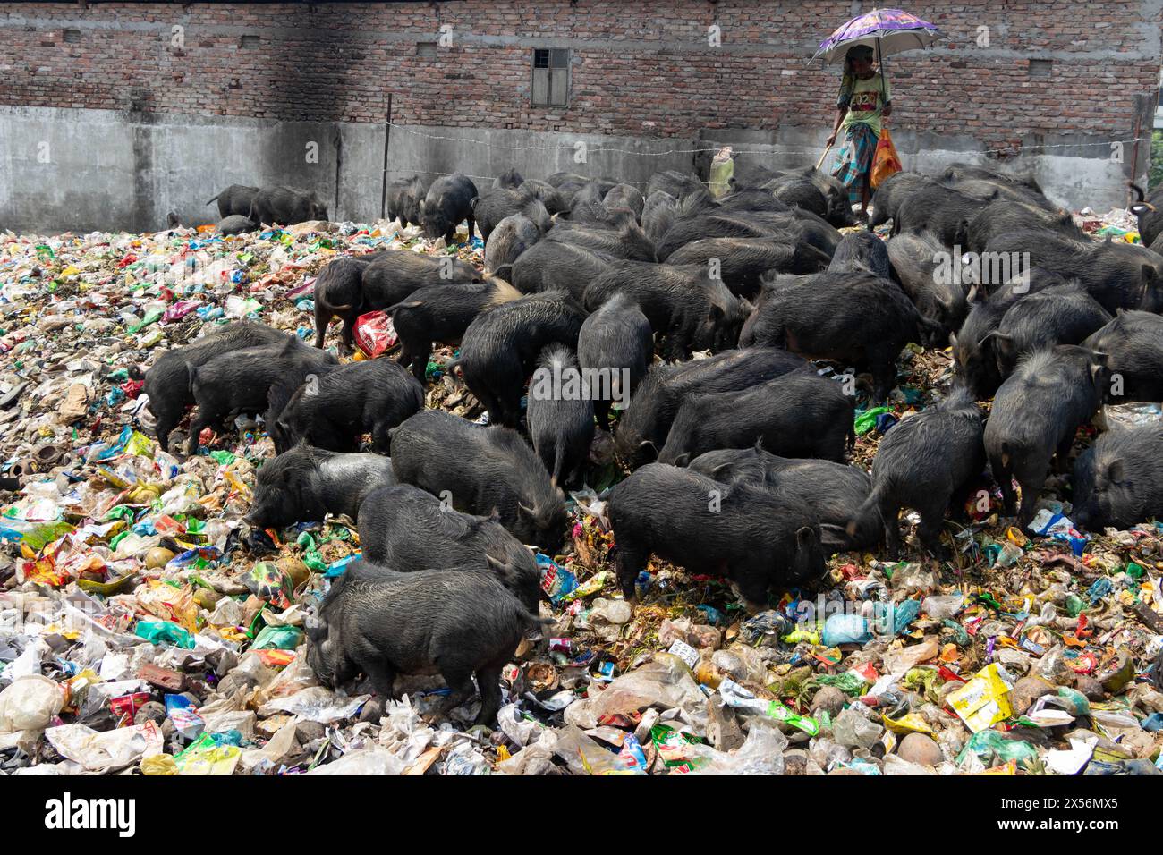 Improper waste disposal hi-res stock photography and images - Alamy