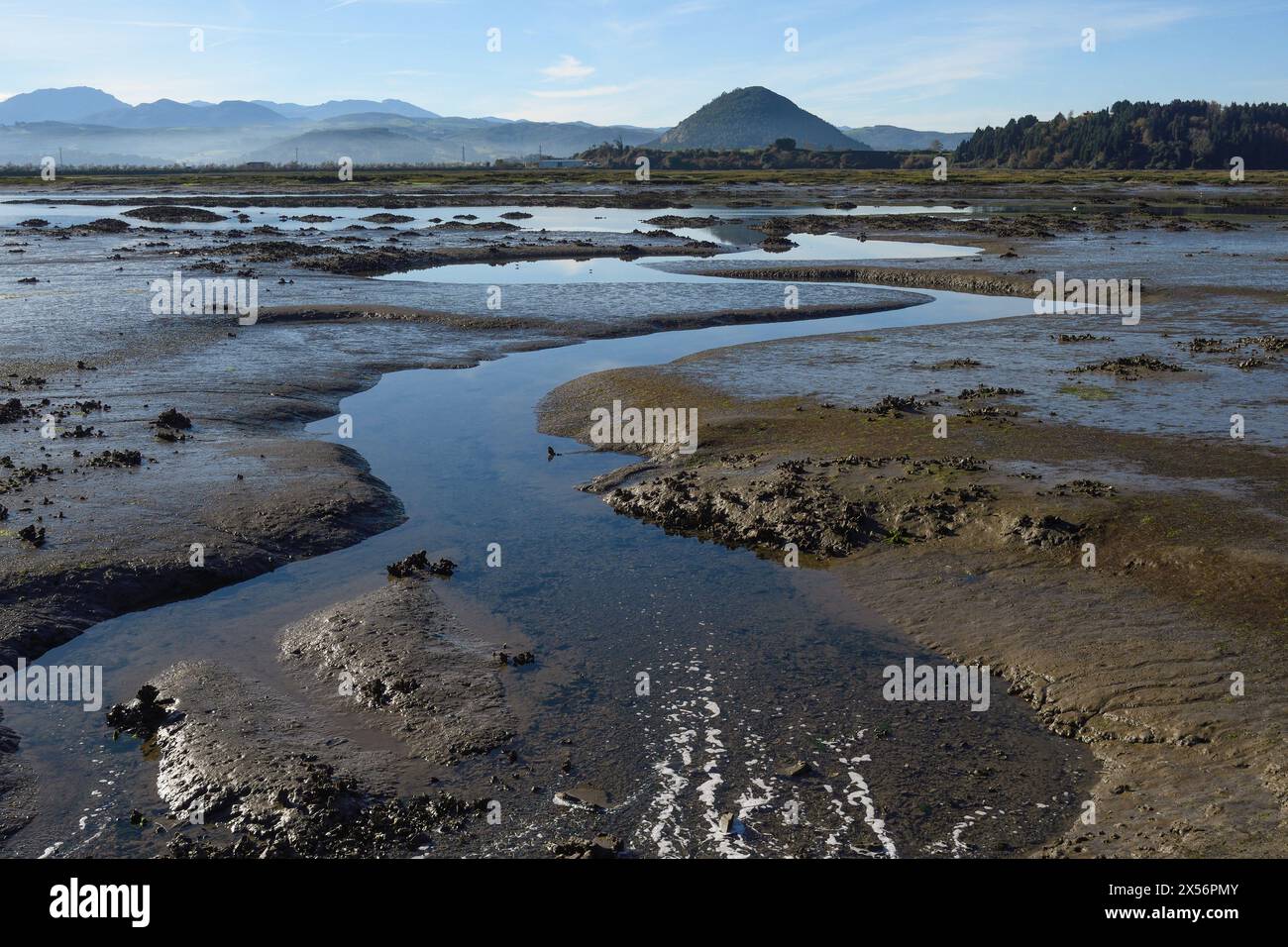 Water channels at low tide in the Santoña marshes Stock Photo - Alamy