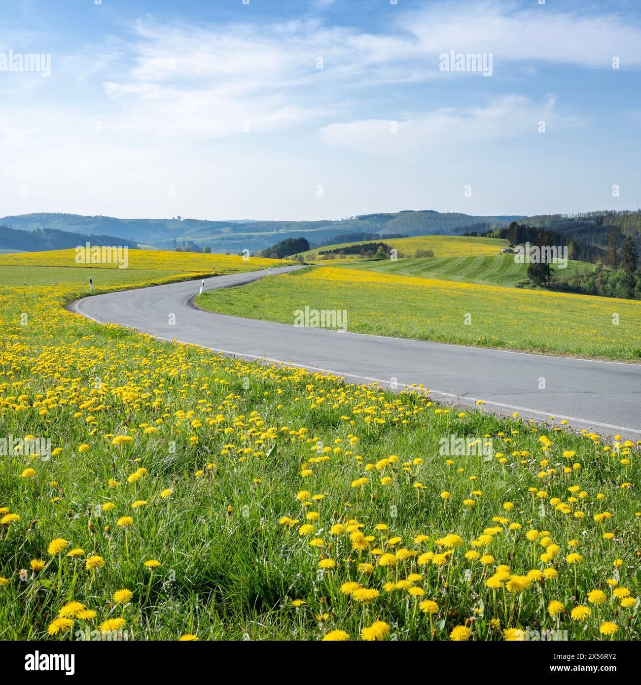 blue sky over spring countryside in german sauerland with trees and ...