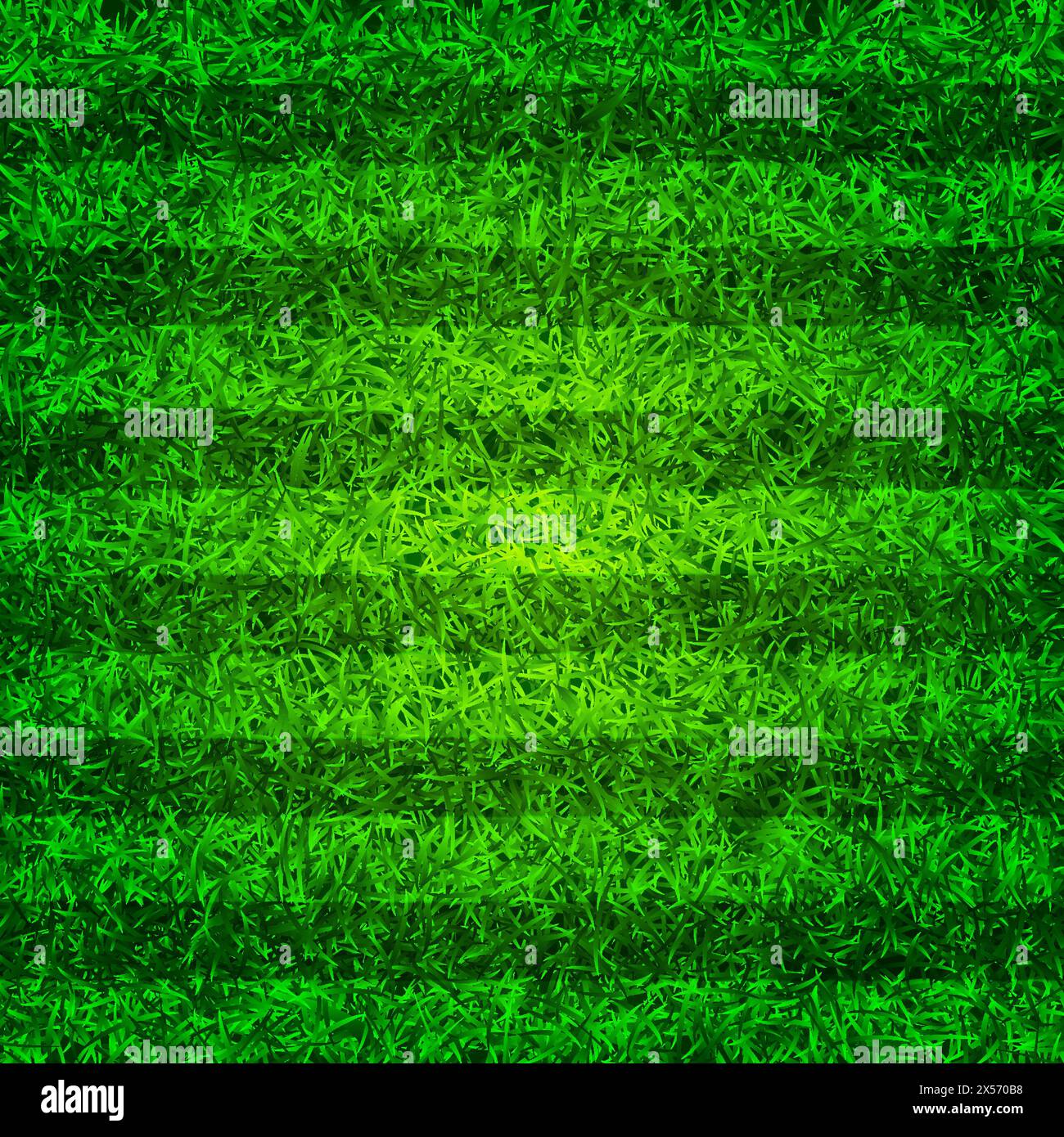 Soccer playing field with green grass. Football pitch background with ...