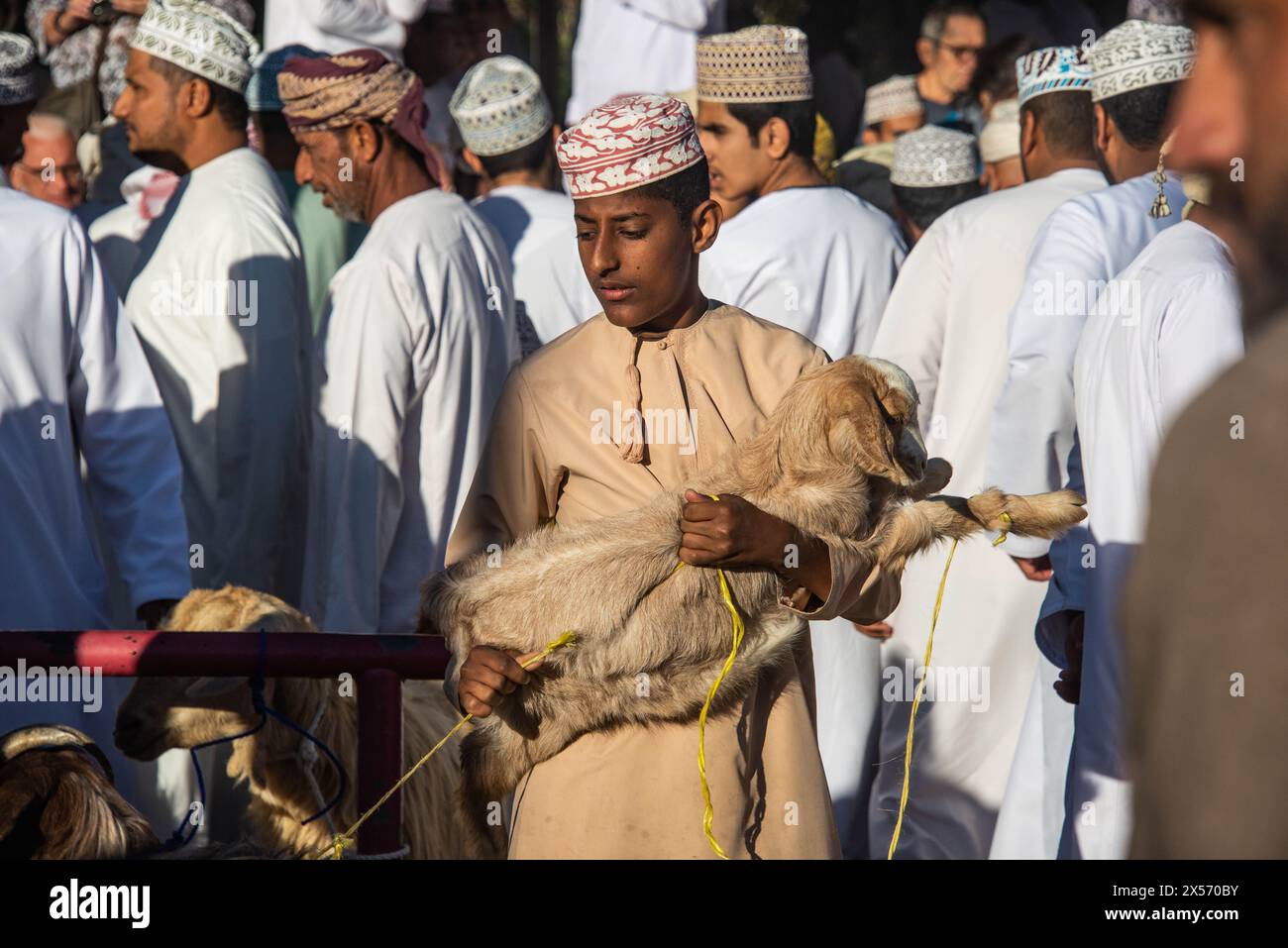 Scenes from the Nizwa goat market, Nizwa, Oman Stock Photo - Alamy