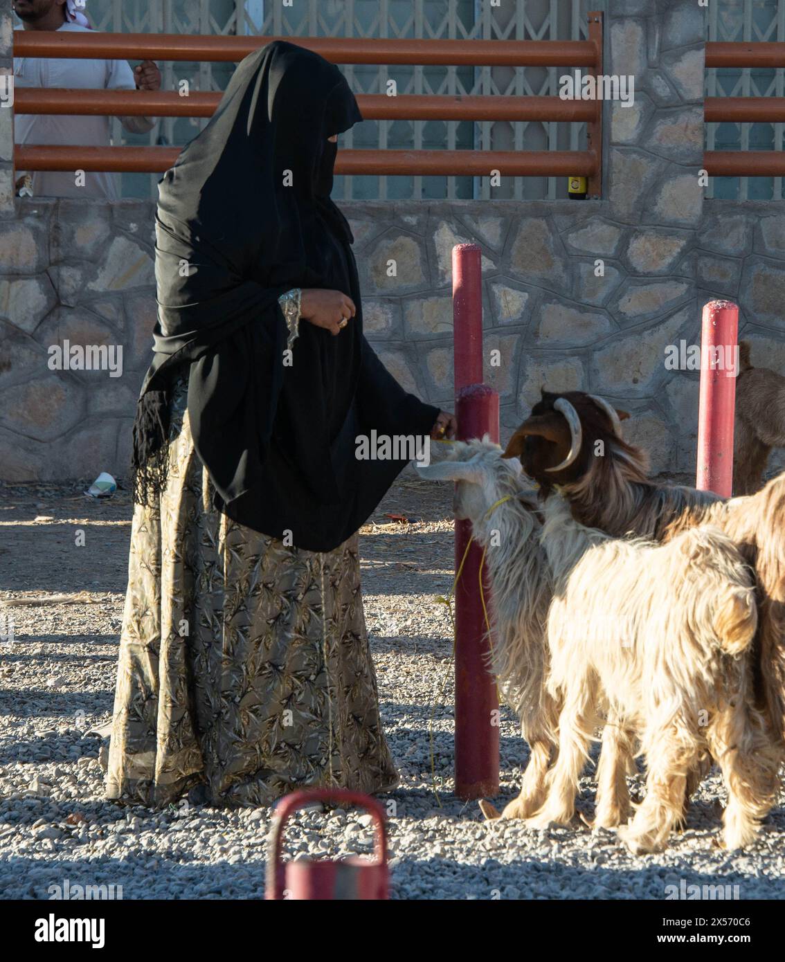 Goat market nizwa sultanate oman hi-res stock photography and images ...