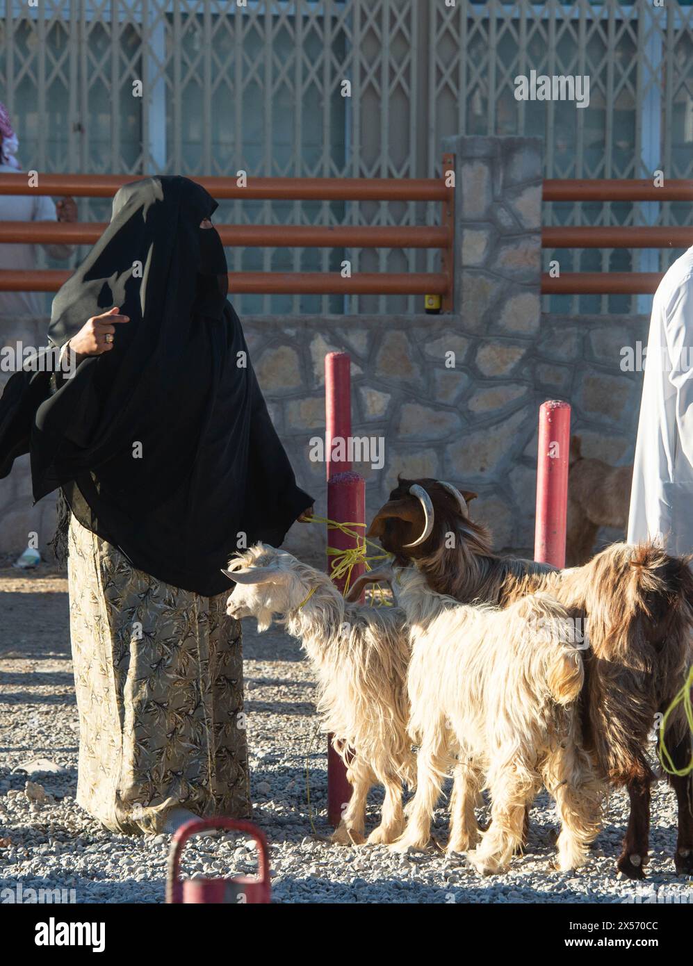 Goat market nizwa sultanate oman hi-res stock photography and images ...