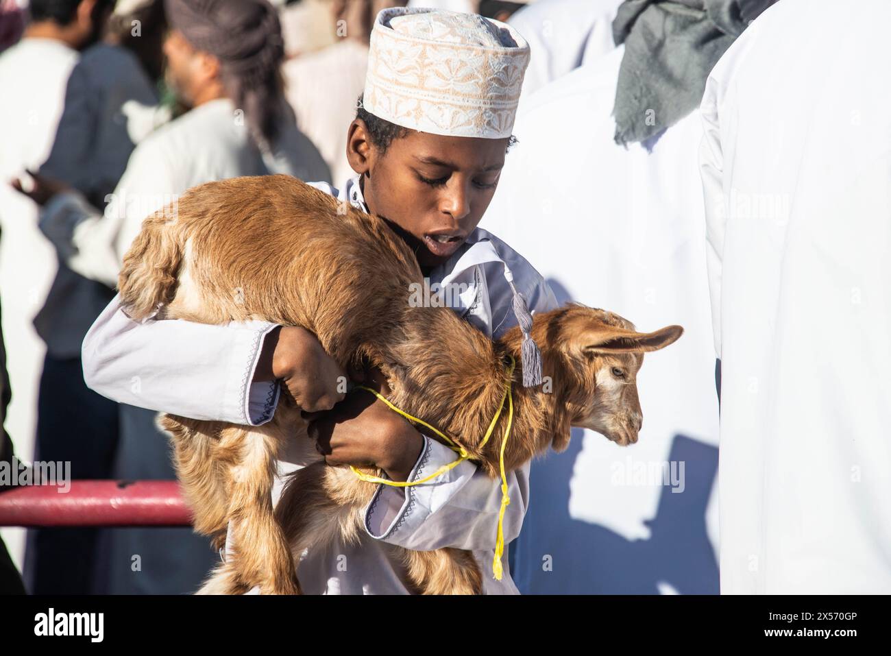 Omani kids from the chaotic goat market, Nizwa, Oman Stock Photo - Alamy