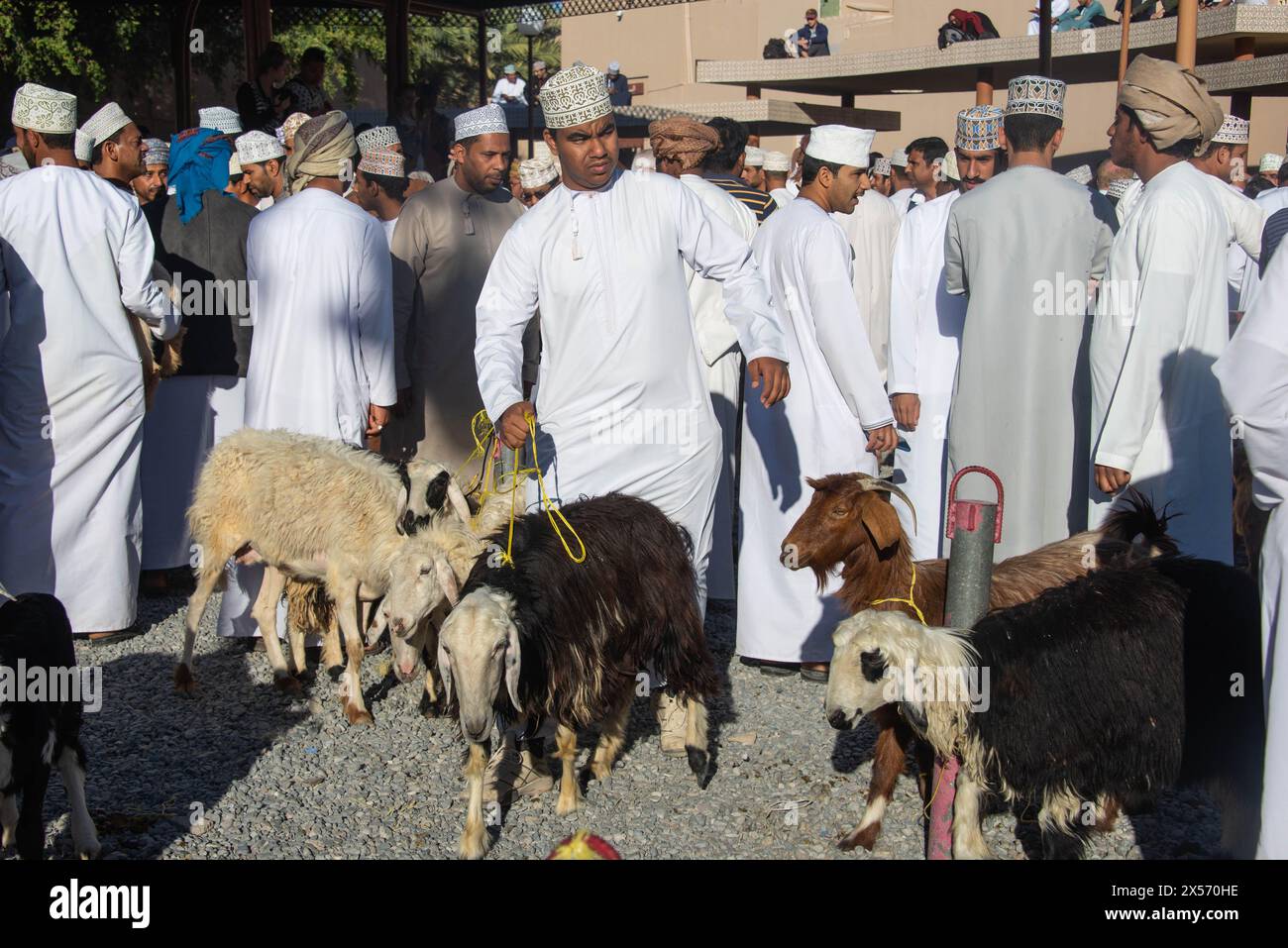 Culture and tradition animals market scenes tribes and ethnicity hi-res ...