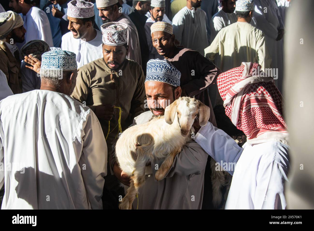 Scenes from the Nizwa goat market, Nizwa, Oman Stock Photo - Alamy