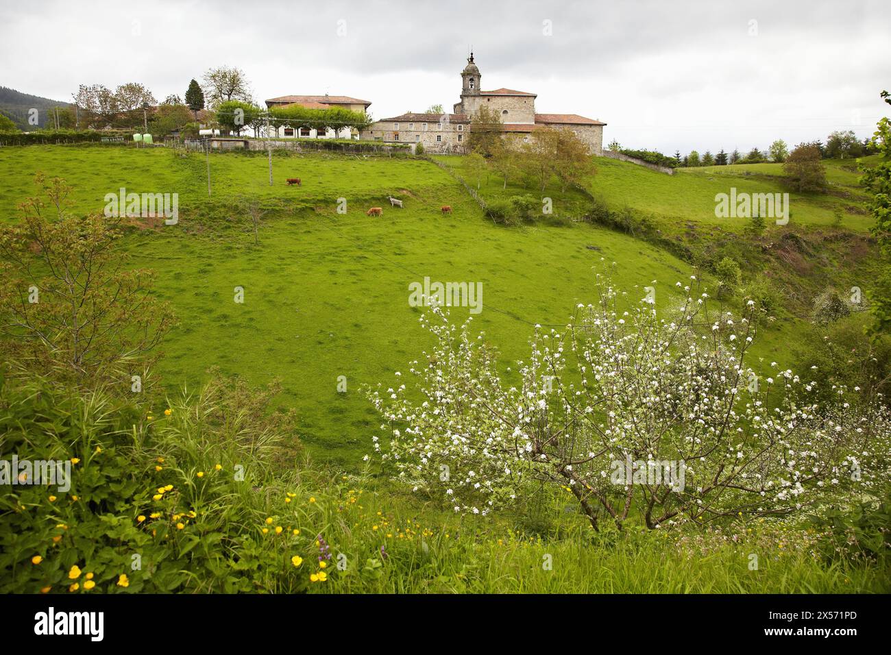 Elosua, Azkoitia, Guipuzcoa, Basque Country, Spain Stock Photo - Alamy