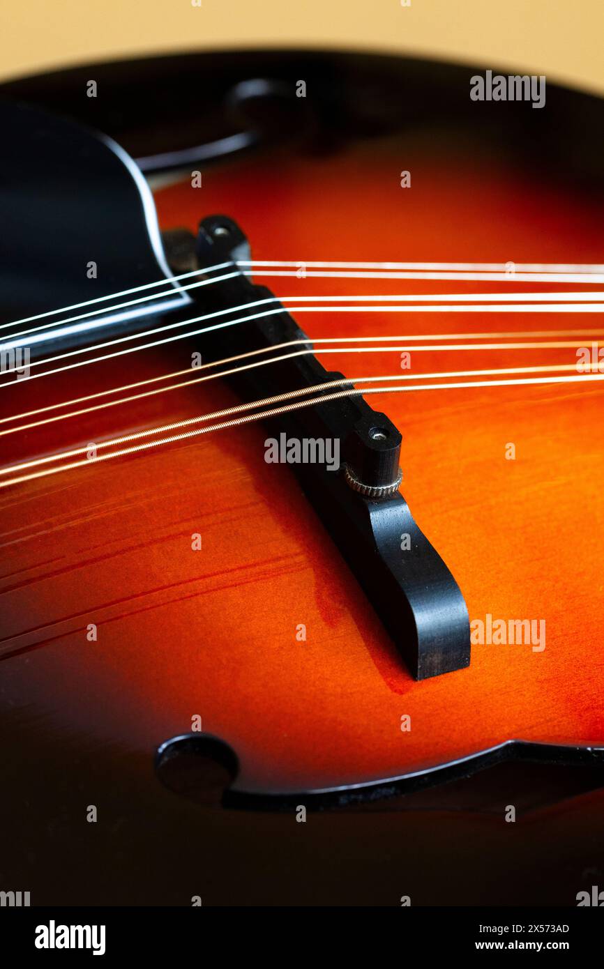 A-style acoustic mandolin with f-holes. A popular 8- stringed folk ...