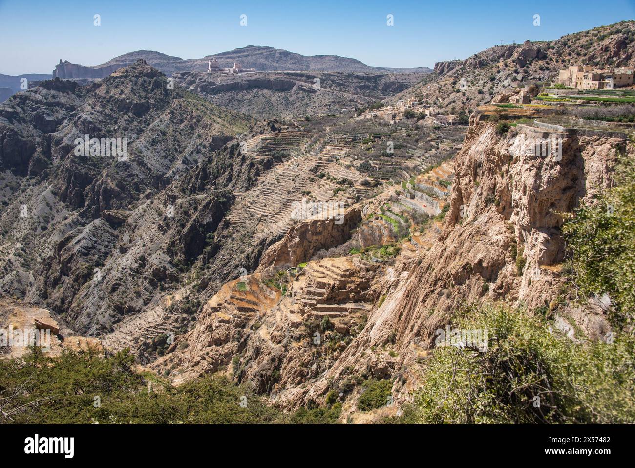 Oman green mountain rose hi-res stock photography and images - Alamy