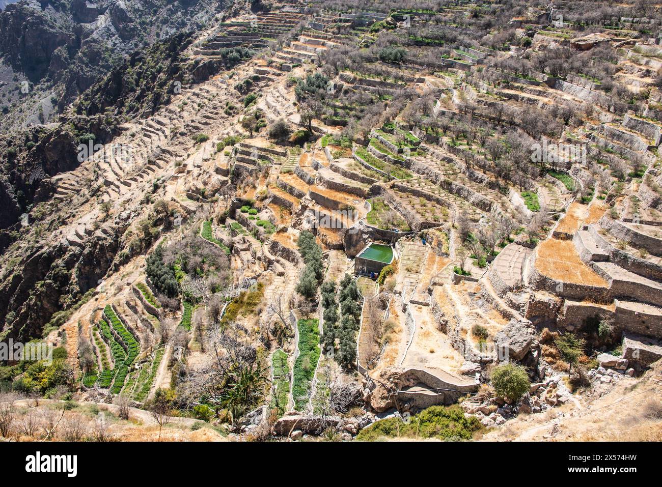 Al ain oman hi-res stock photography and images - Alamy