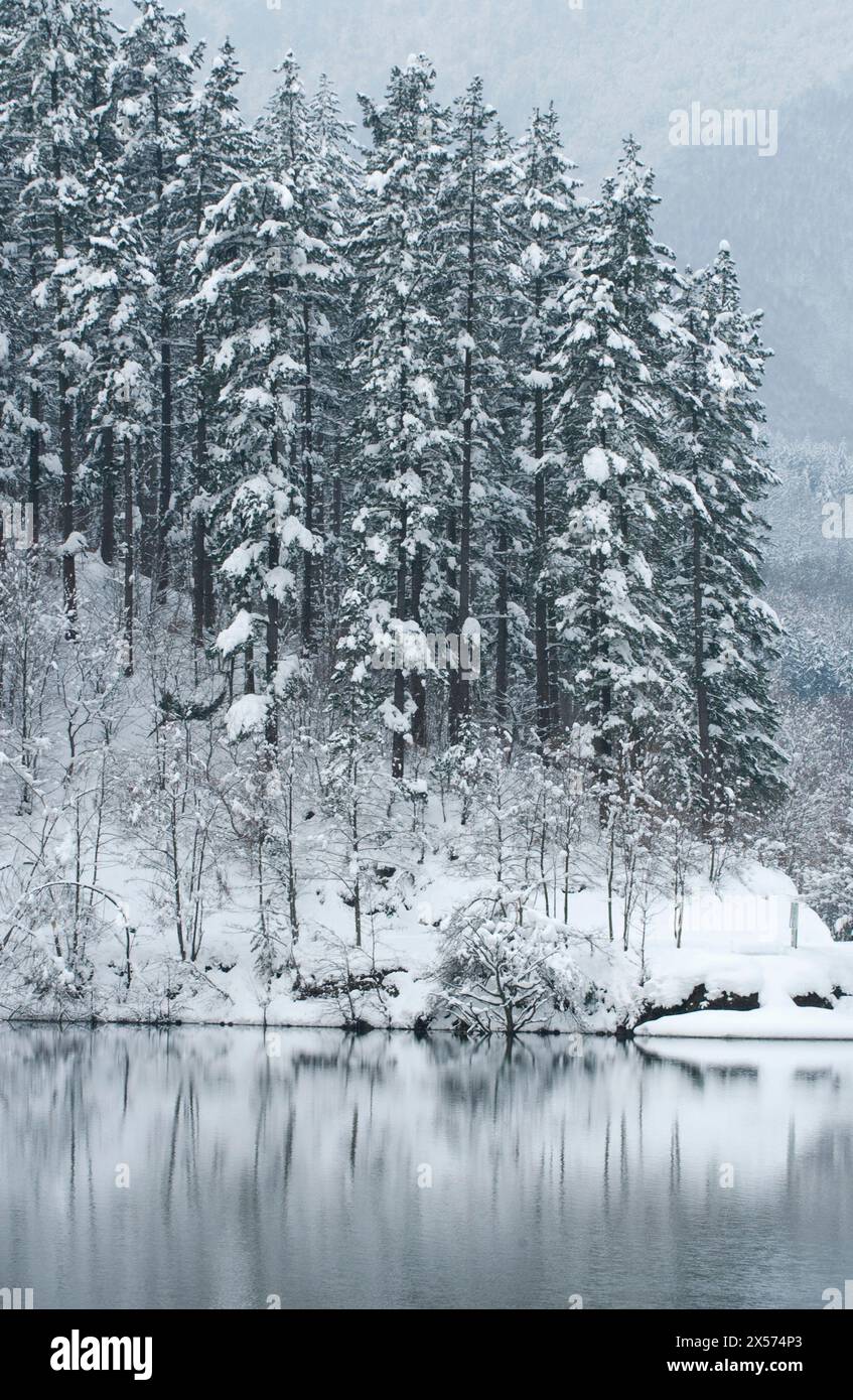 Snow, Barrendiola reservoir, Sierra de Aitzkorri in winter. Guipúzcoa ...