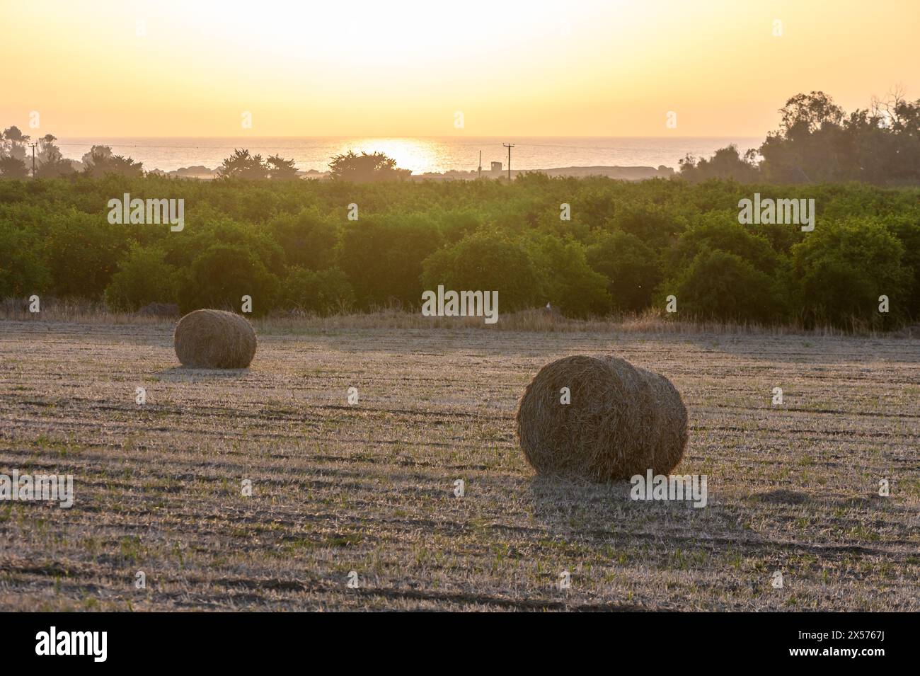 Straw bales on farmland with blue cloudy sky 1 Stock Photo - Alamy