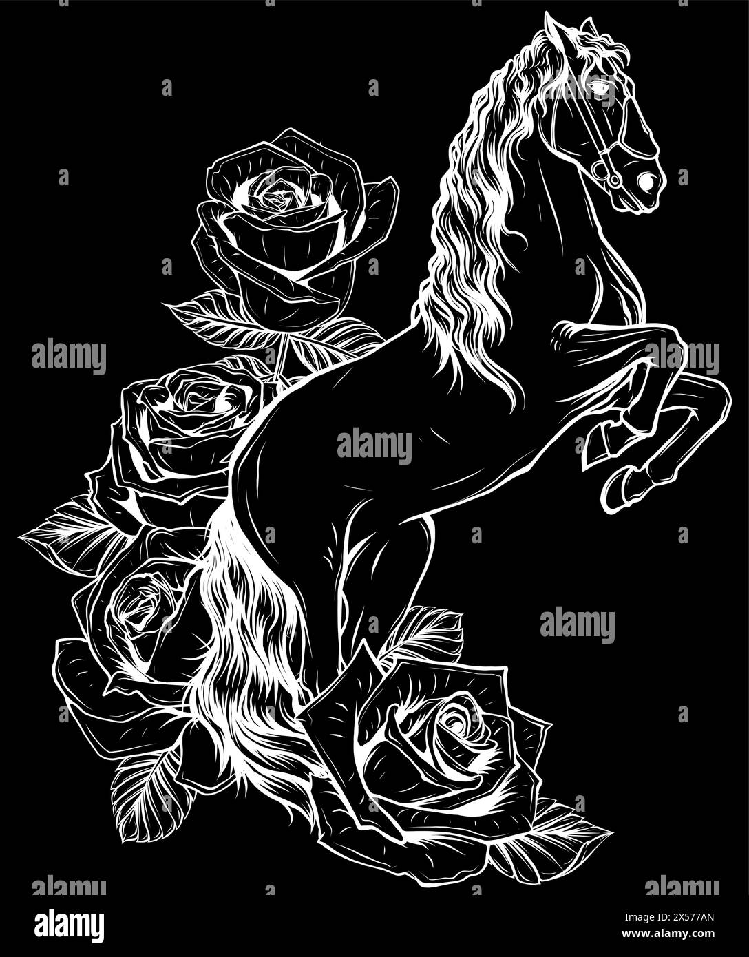 white silhouette of White Horse with rose on black background Stock ...