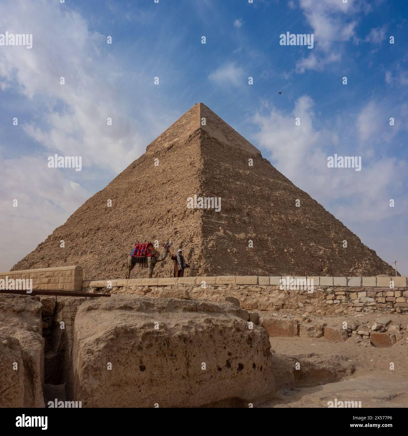 Giza pyramid with camel and keeper Stock Photo - Alamy