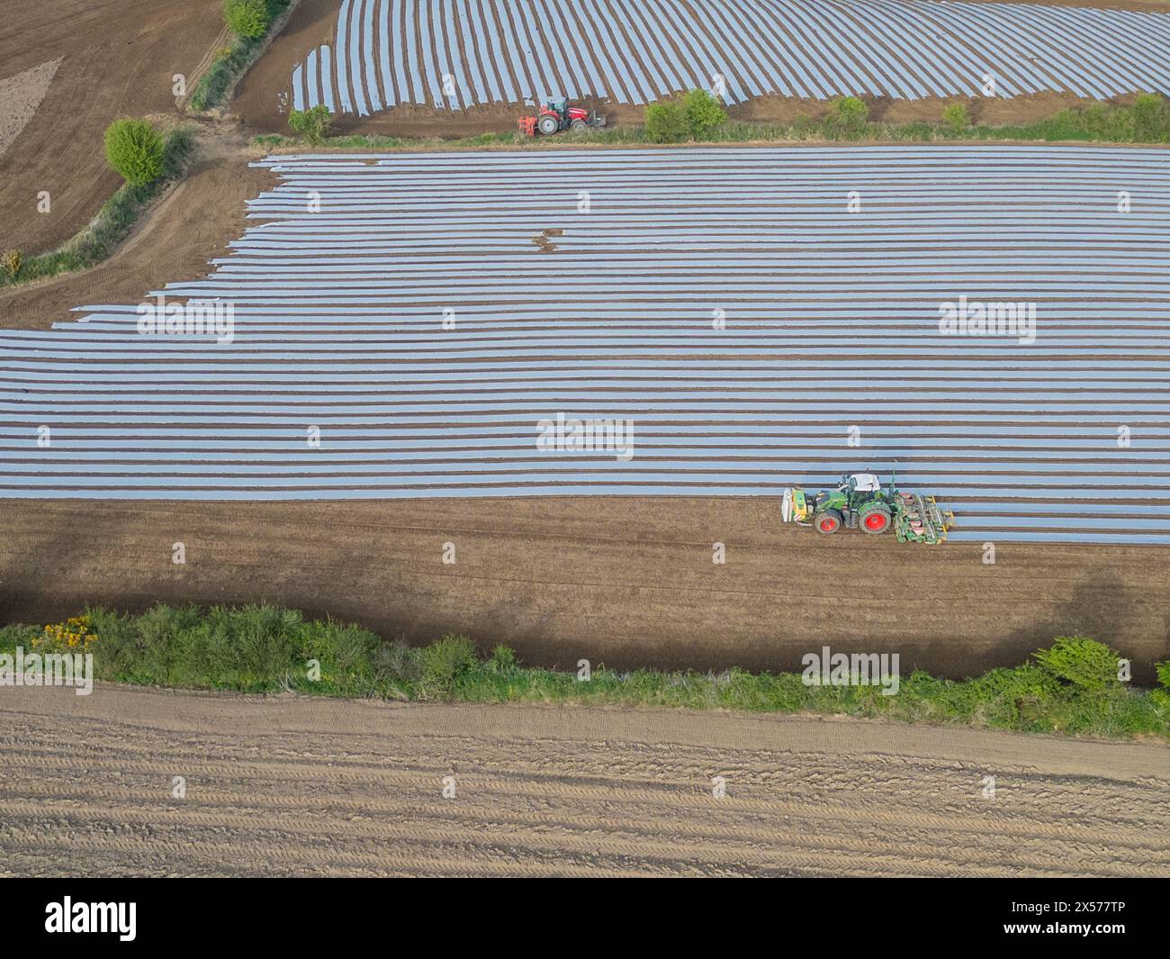 Sowing maize for winter cattle fodder, May 2024 Stock Photo - Alamy
