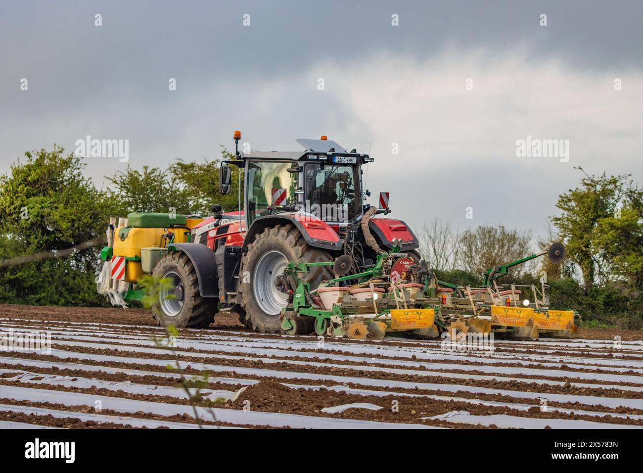 Sowing maize for winter cattle fodder, May 2024 Stock Photo - Alamy