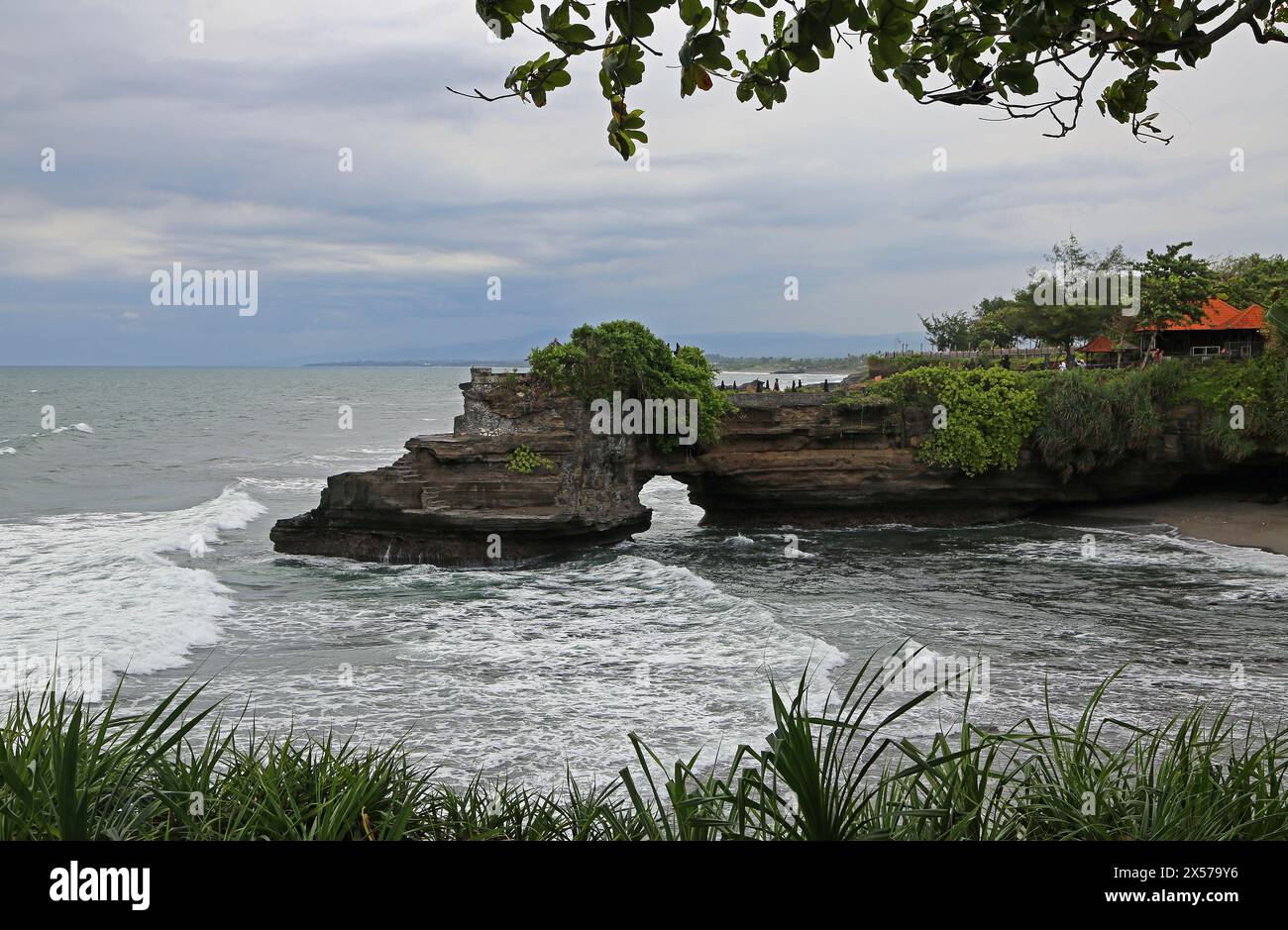 Tree branch and Tanah Lot, Bali, Indonesia Stock Photo - Alamy