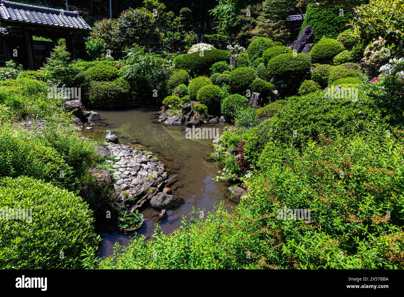 Toshiro mizumura hi-res stock photography and images - Alamy