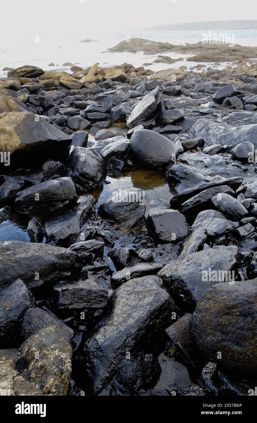 Fuel spill (´chapapote´) of Prestige tanker. Muxía, Costa da Morte, Dec ...