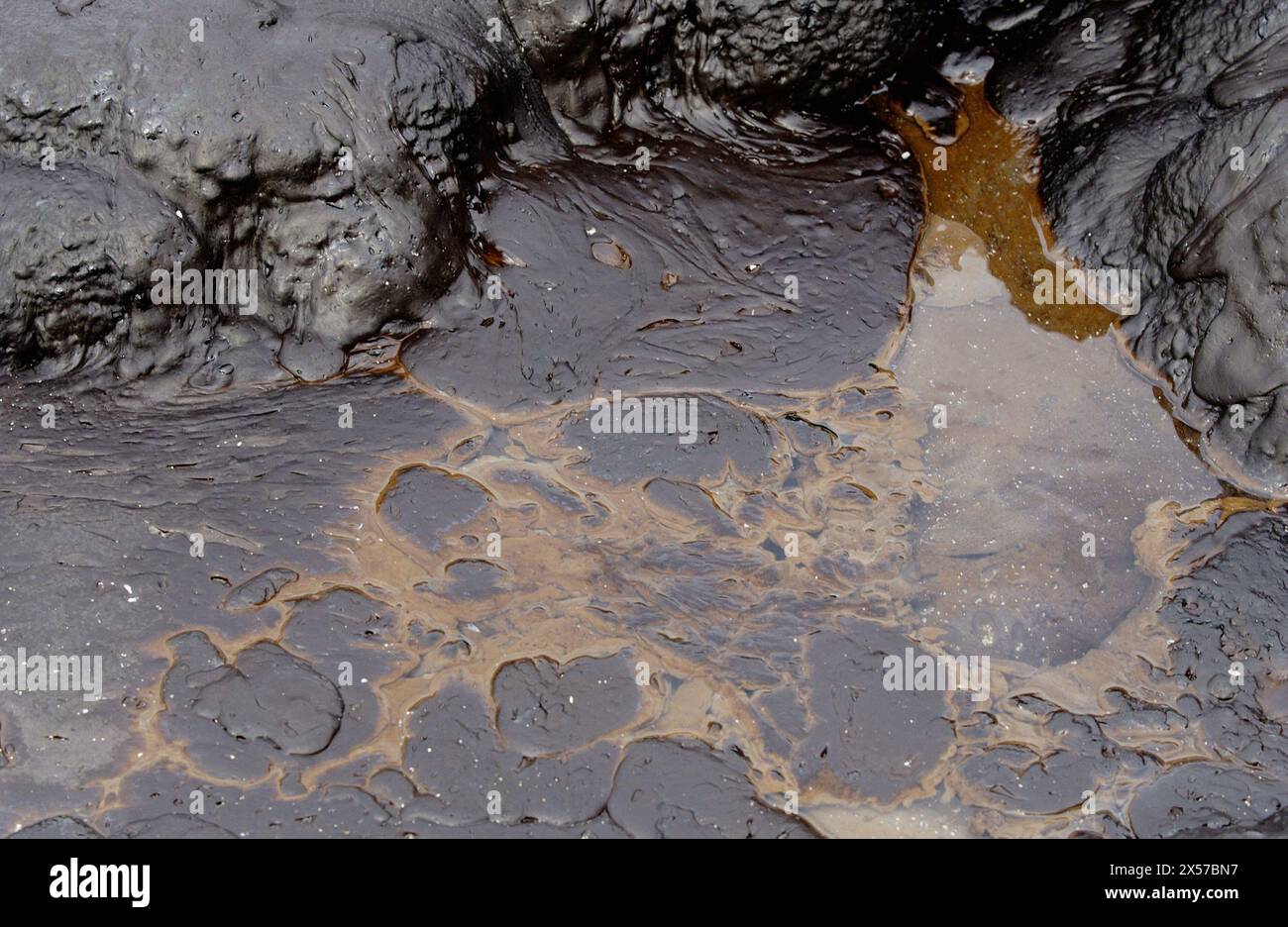 Fuel spill (´chapapote´) of Prestige tanker. Costa da Morte, Dec. 2002 ...