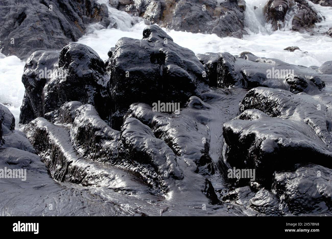 Fuel spill (´chapapote´) of Prestige tanker. Costa da Morte, Dec. 2002 ...