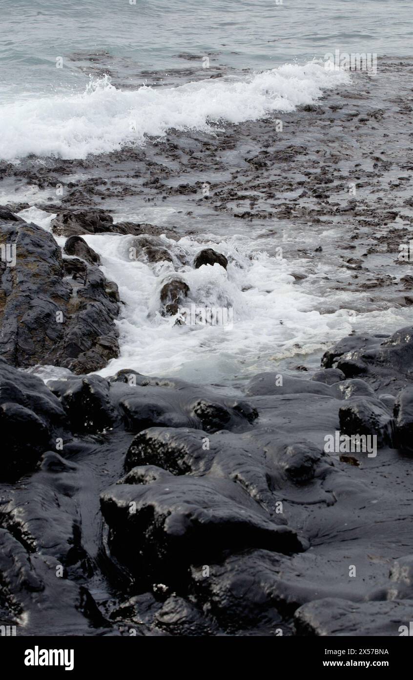 Fuel spill (´chapapote´) of Prestige tanker. Costa da Morte, Dec. 2002 ...