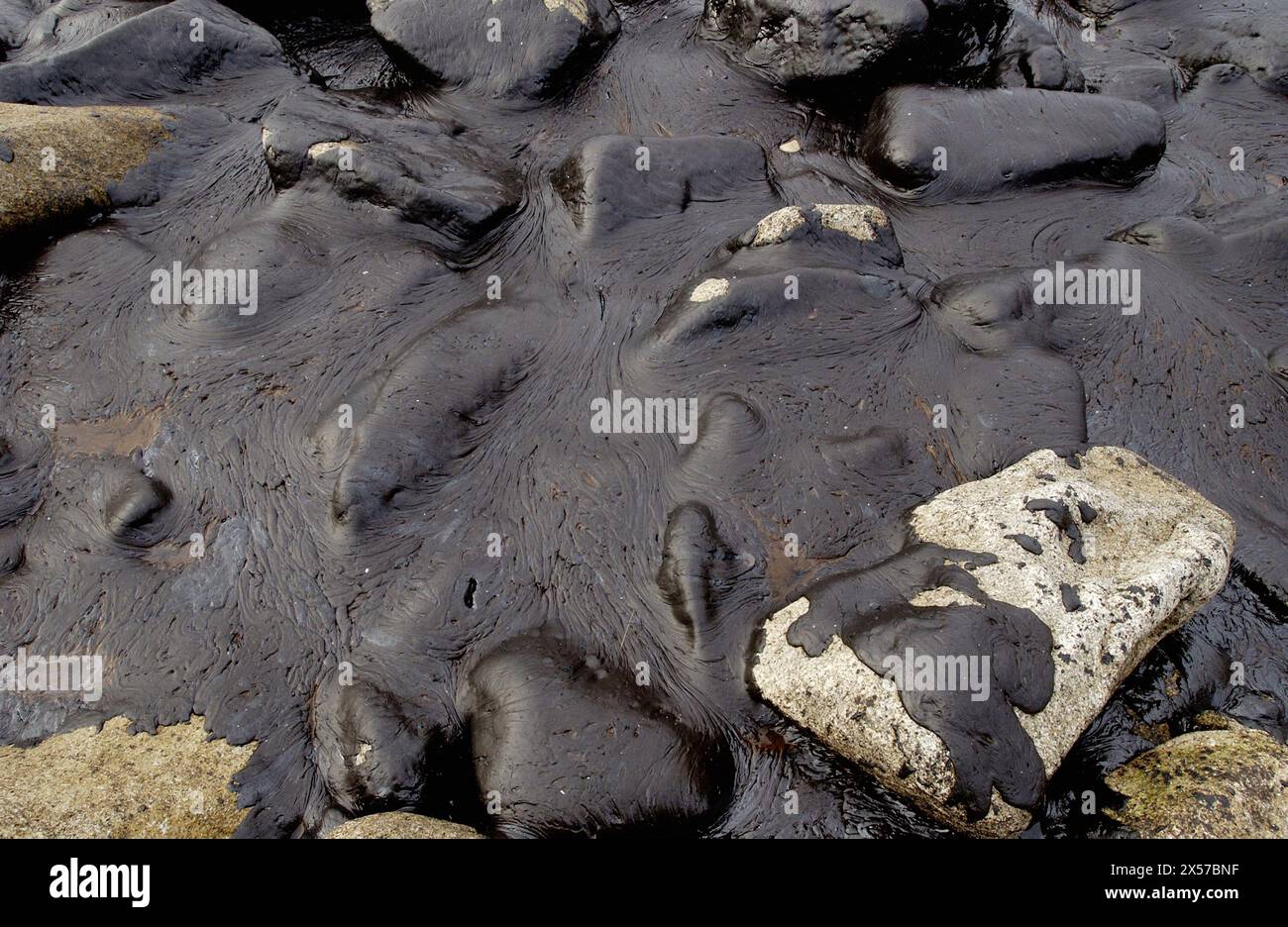 Fuel spill (´chapapote´) of Prestige tanker. Costa da Morte, Dec. 2002 ...