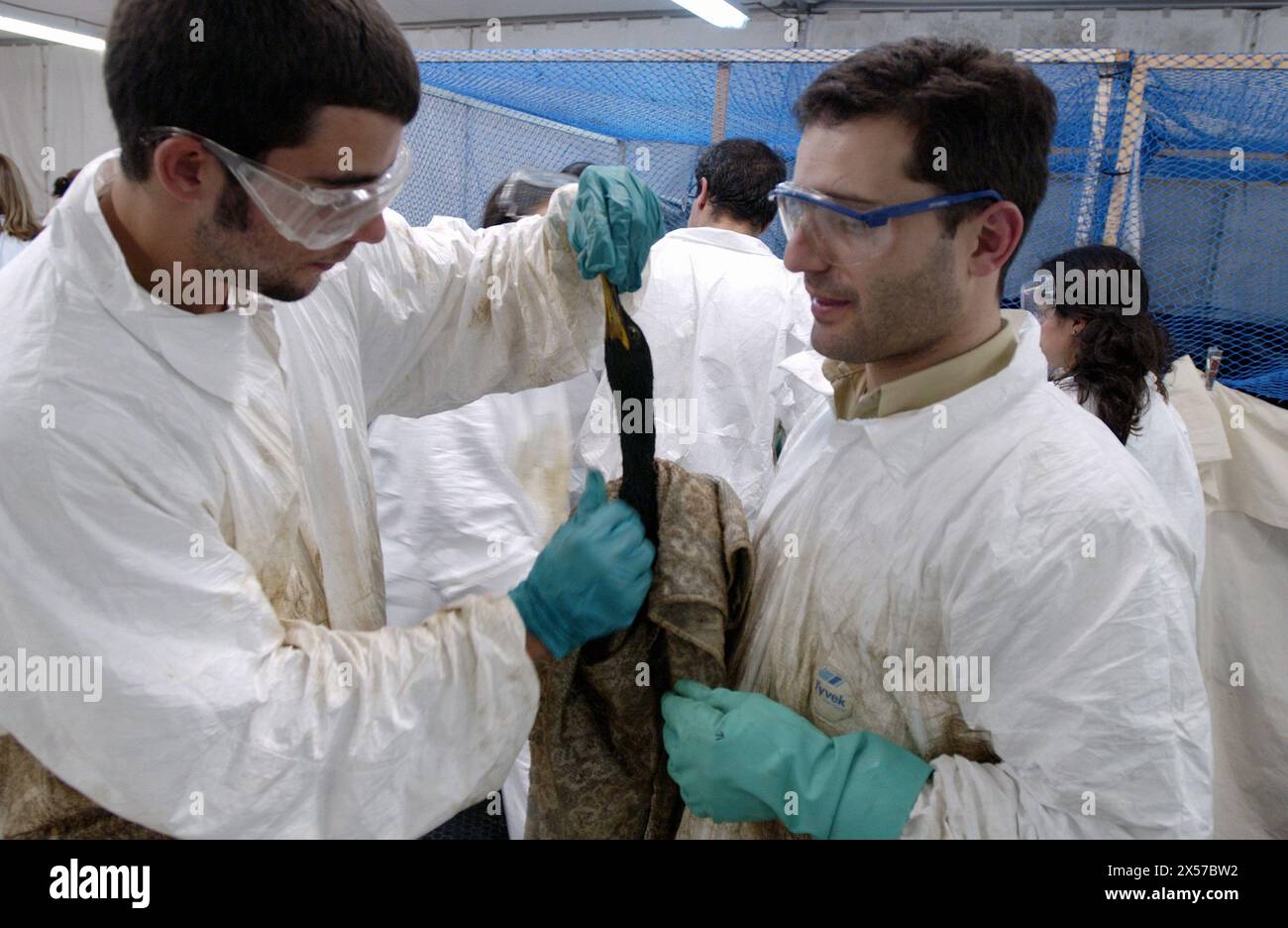 Recuperation of marine birds after the fuel spill (´chapapote´) of ...