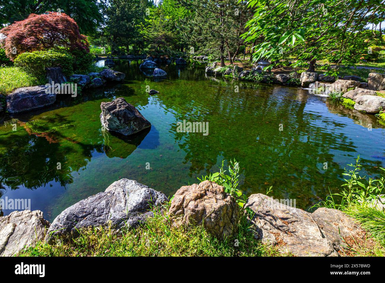 Suijokoen Japanese Garden - Gyoda Water Castle Park is officially known ...