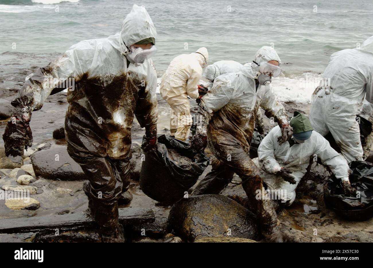 Volunteers dressed with protective clothing gathering the fuel spill (´chapapote´) of Prestige ...