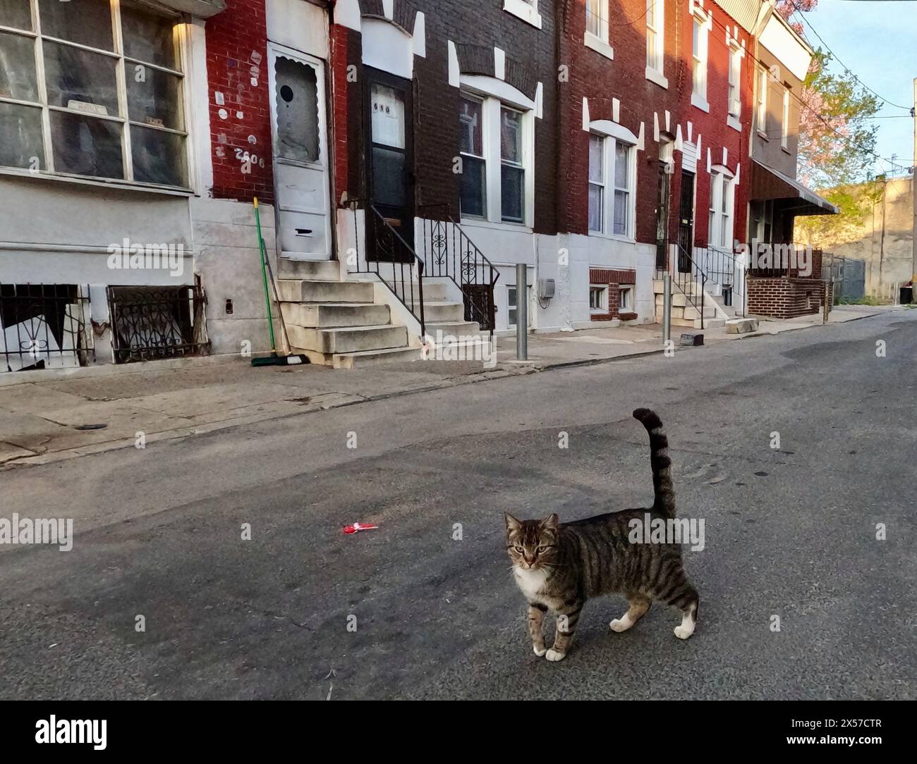Stray block hi-res stock photography and images - Alamy