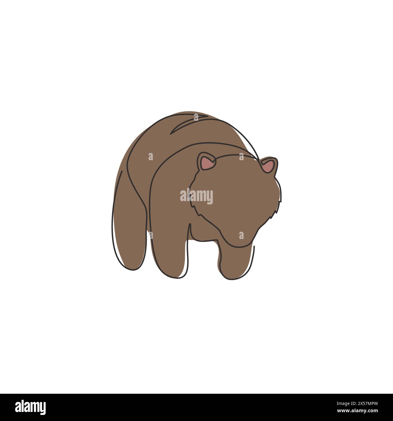 Bear Head Side View Drawing Easy