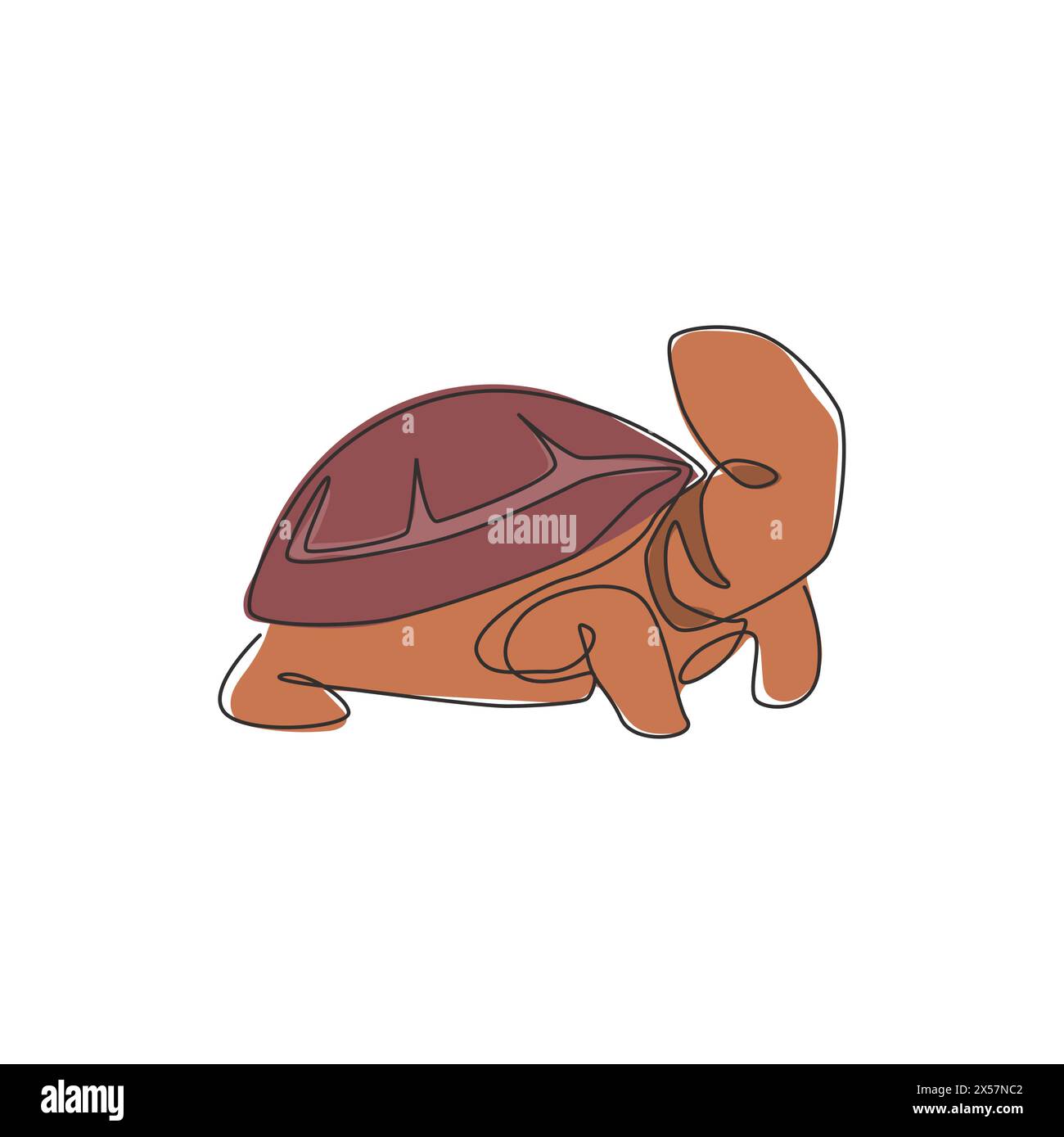 One continuous line drawing of wild desert tortoise for wildlife ...