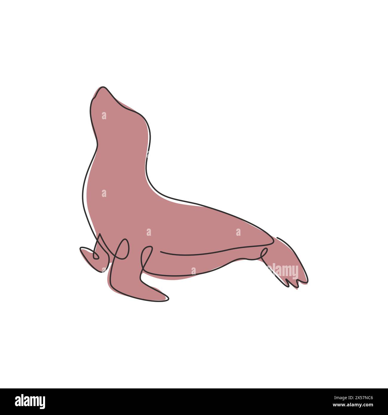 One single line drawing of adorable sea lion for aquatic park logo ...