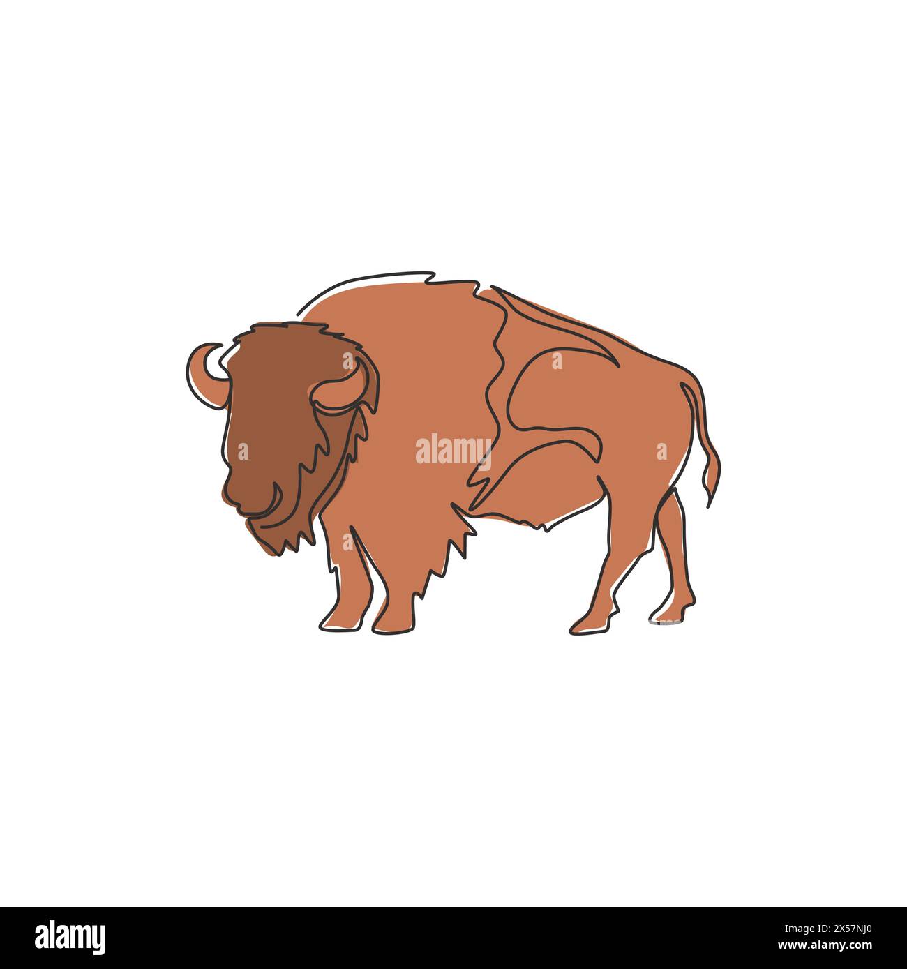 Usa national park animal Stock Vector Images - Alamy