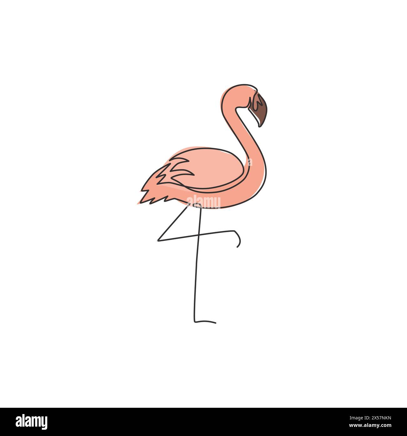 Single continuous line drawing of beautiful flamingo for national zoo logo. Flamingo bird mascot ...