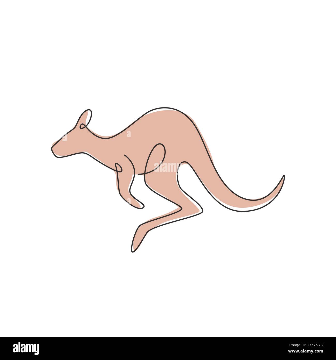 Single continuous line drawing of adorable jumping kangaroo for ...