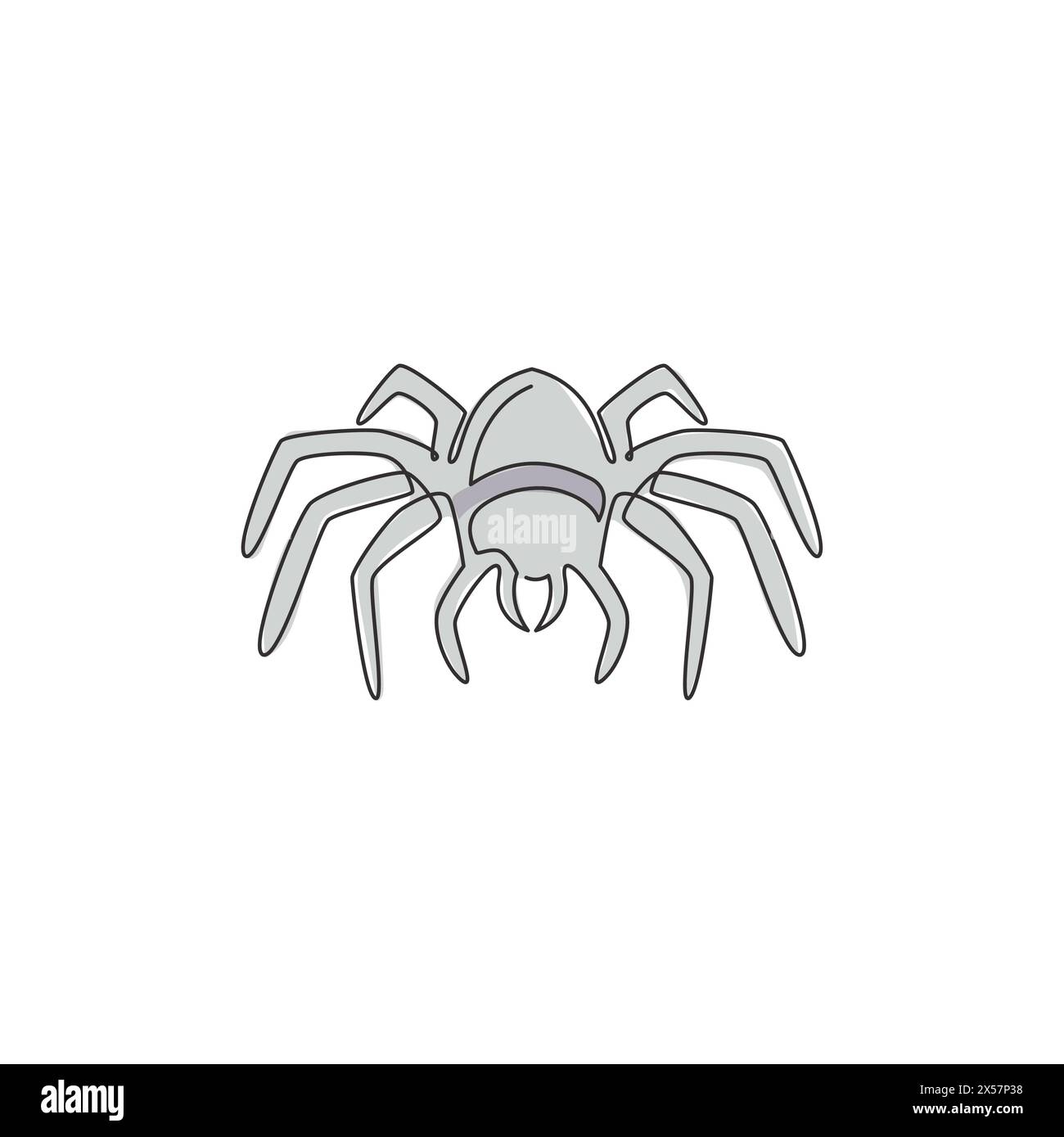 Single continuous line drawing of big wild spider for logo symbol ...